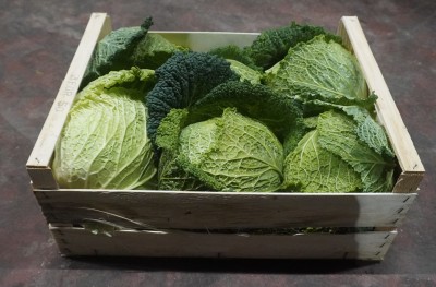 Vendita diretta Mercati Generali Evolution